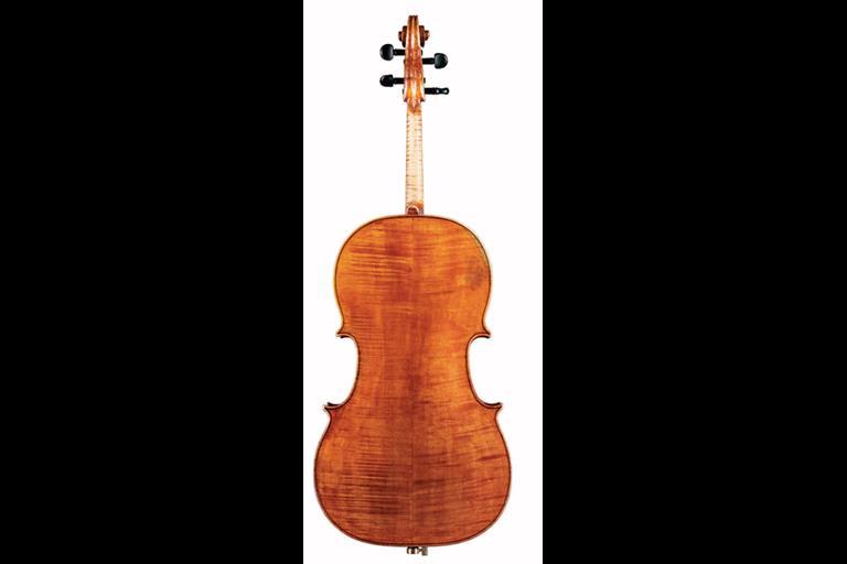 In Focus: studies of great and unusual stringed instruments | Gallery ...